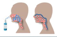 Nasal spray with antiviral activity